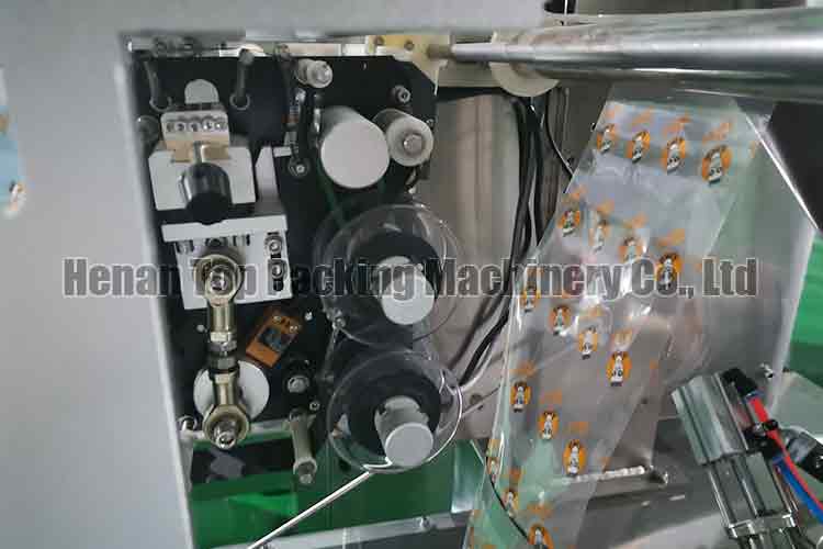 Paste Packing Machine | Automatic Paste Sachet Packaging Machine